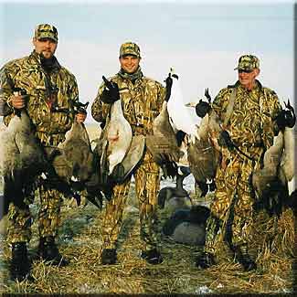 Stanley's Goose Camp