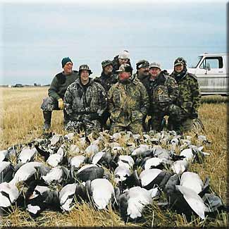 Stanley's Goose Camp