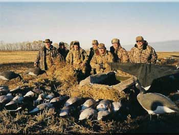 Stanley's Goose Camp